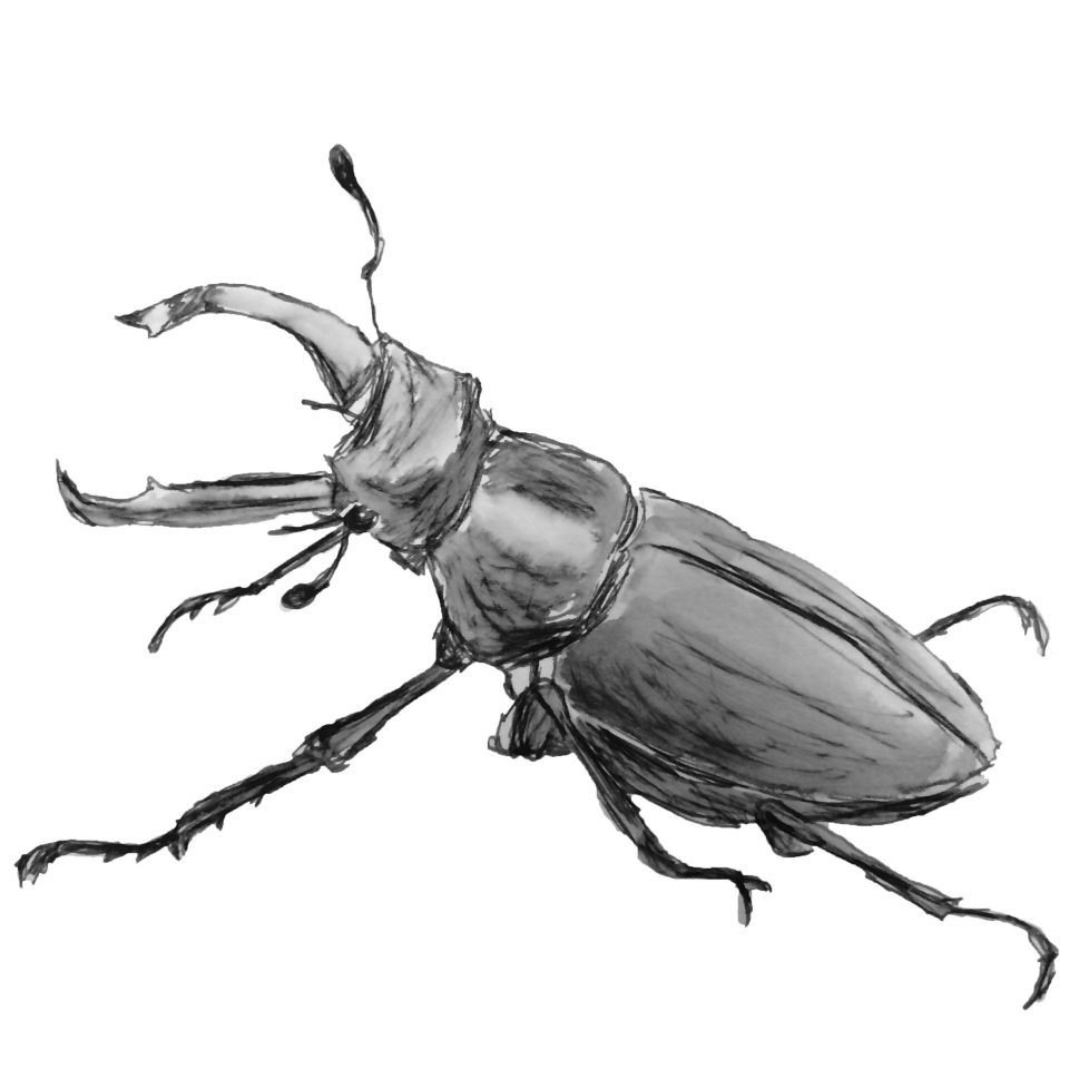 Daryl Haines the Poet - Faversham Life