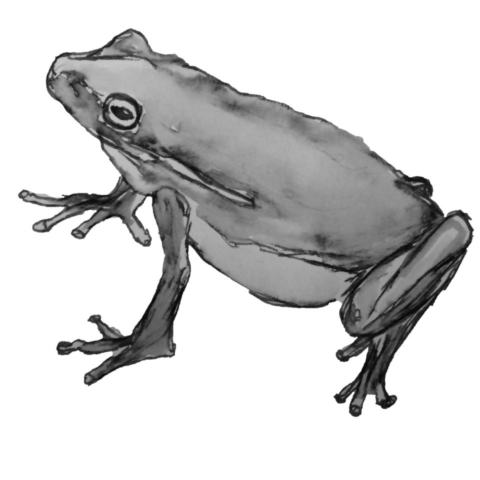 Daryl Haines the Poet - Faversham Life