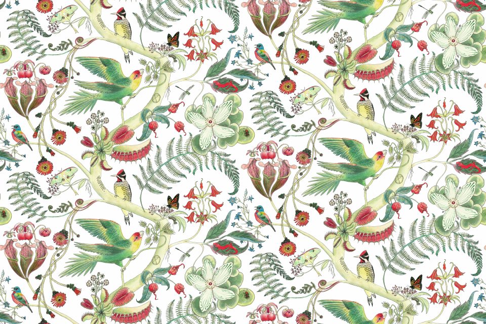 Newton Paisley Fabrics - Faversham Life