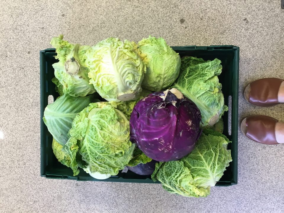 Wasted Kitchen - Faversham Life