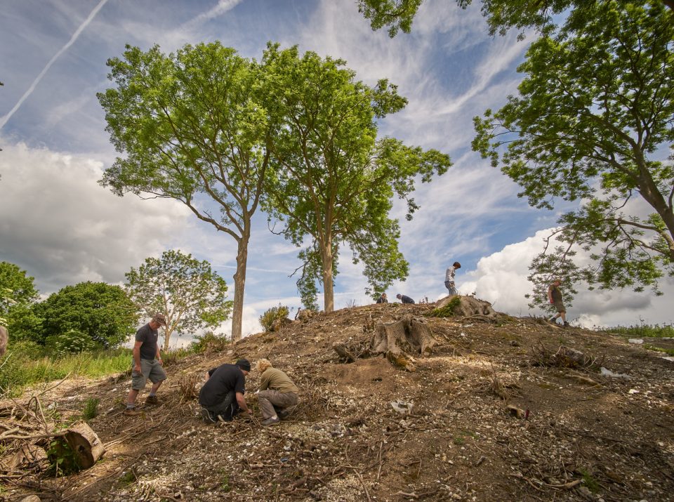 An Archaeological Dig on the Lees Court Estate - Faversham Life