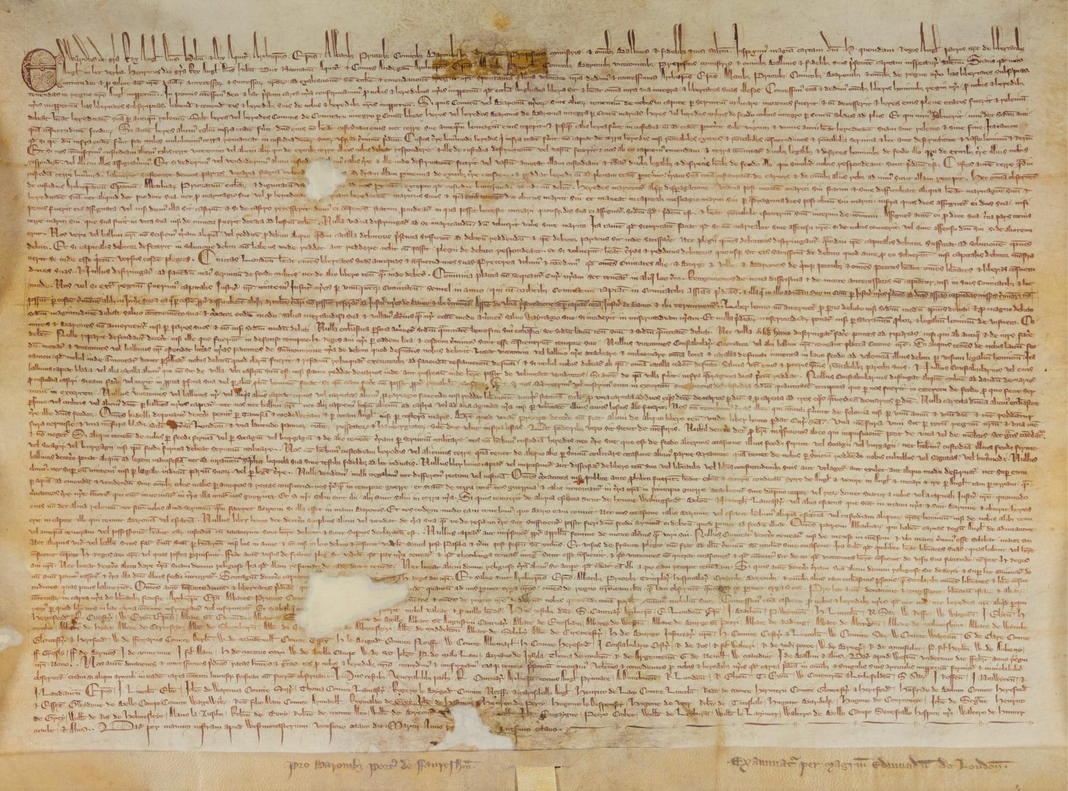 The Faversham Charters and Magna Carta - Faversham Life