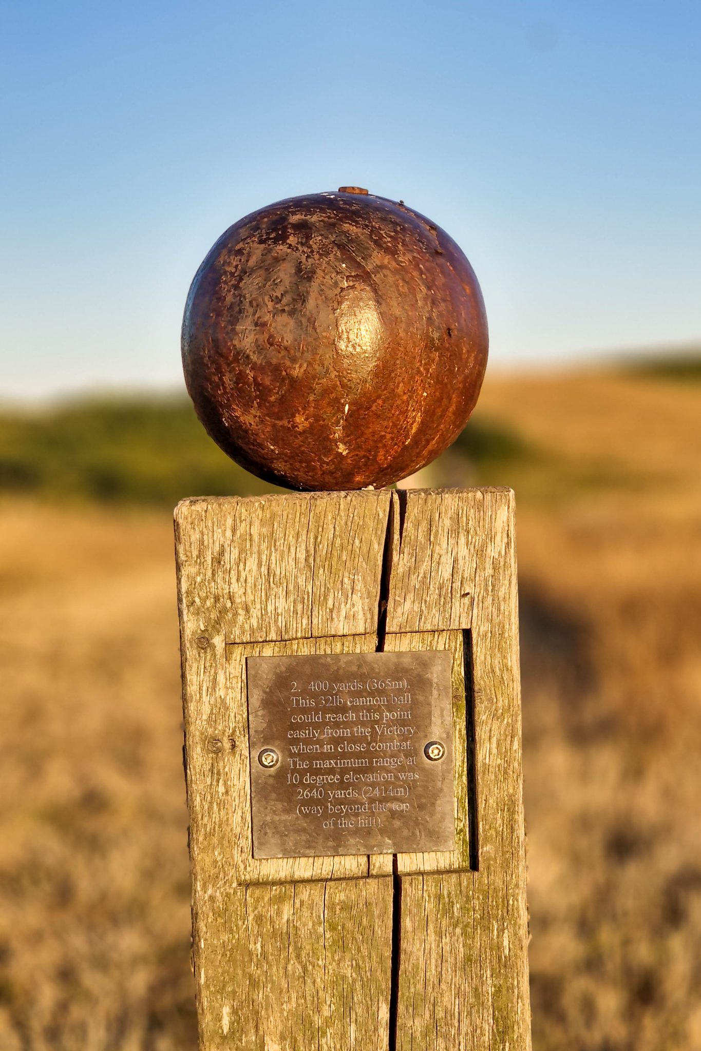 Victory Wood - Faversham Life