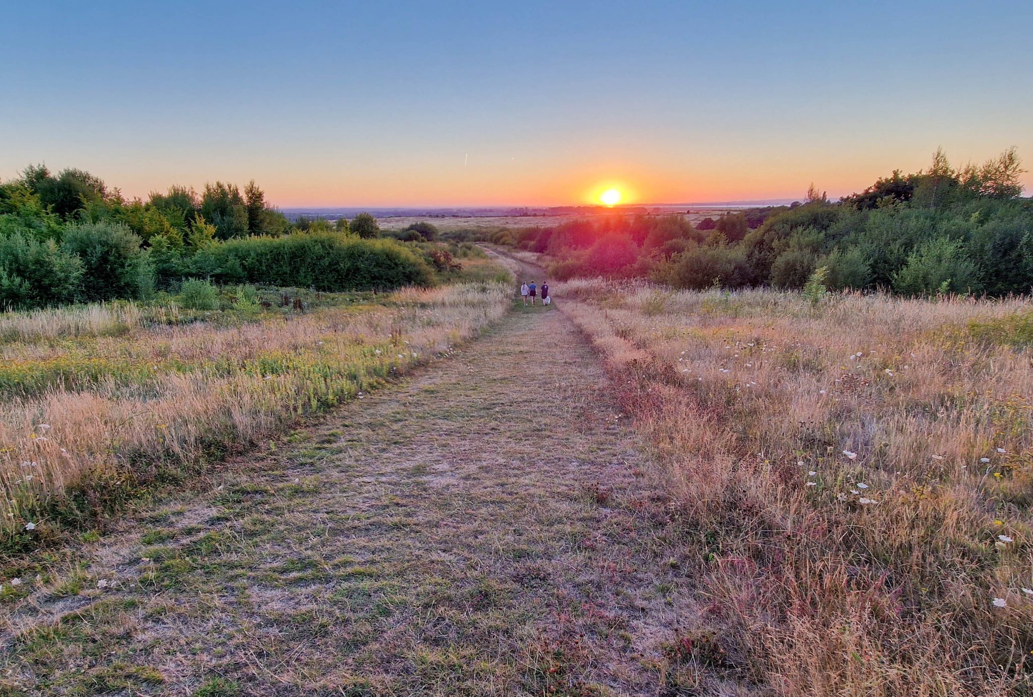 Victory Wood - Faversham Life