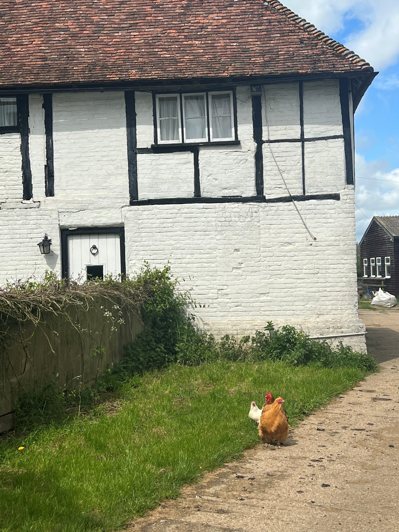 Snoad Farm - Faversham Life