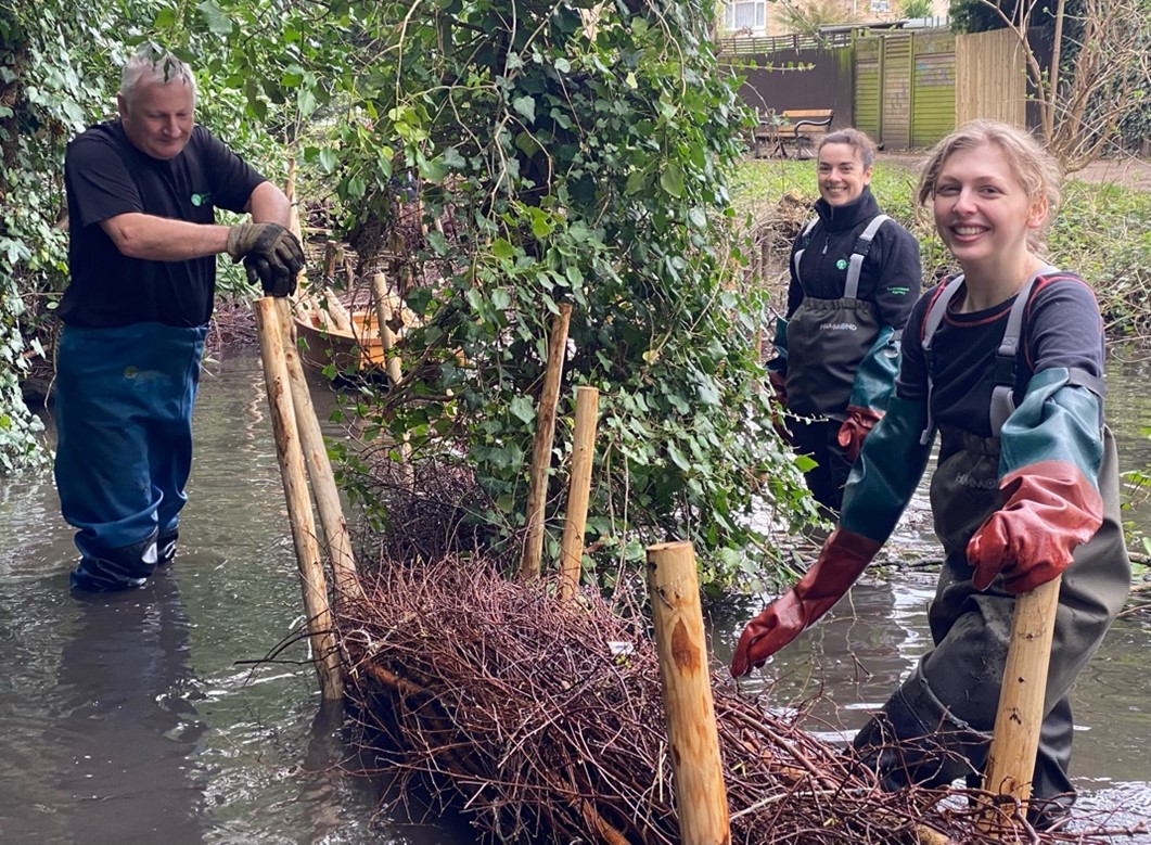 The Restoration of Westbrook Chalk Stream - Faversham Life
